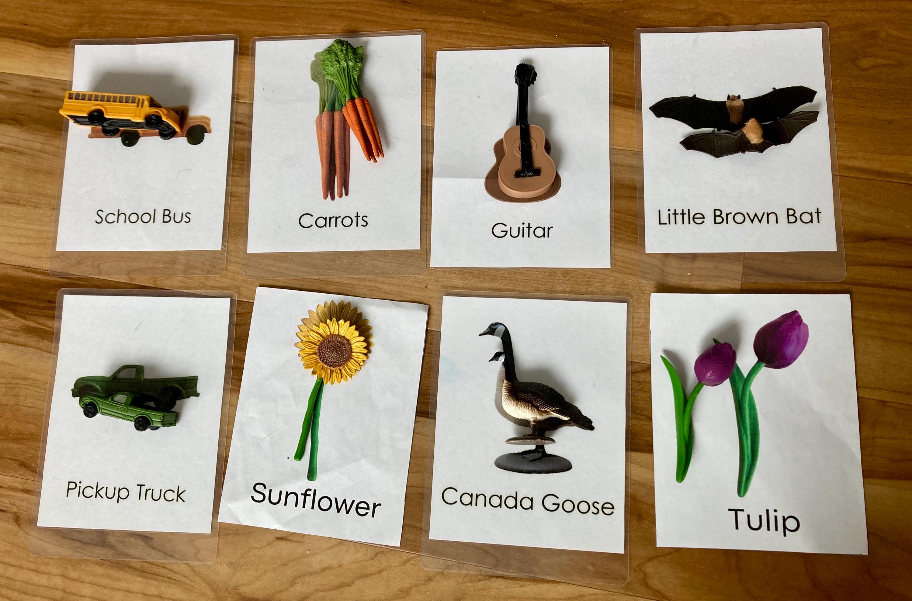 Montessori Printable Figure Matching Flash Cards Safari Toob Around the ...
