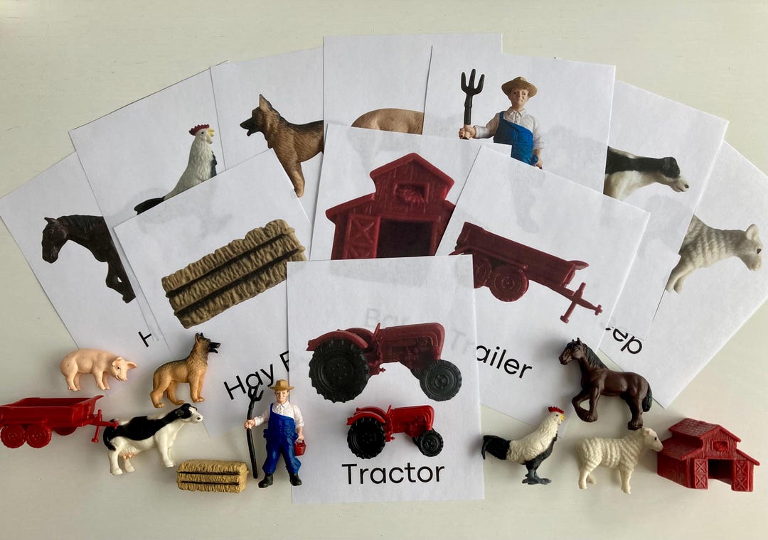 Montessori Printable Figure Matching Flash Cards Safari Toob Down on ...