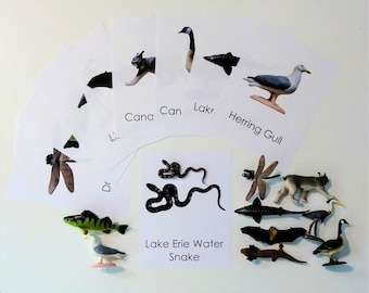 Montessori Printable Figure Matching Flash Cards Safari Toob - Etsy