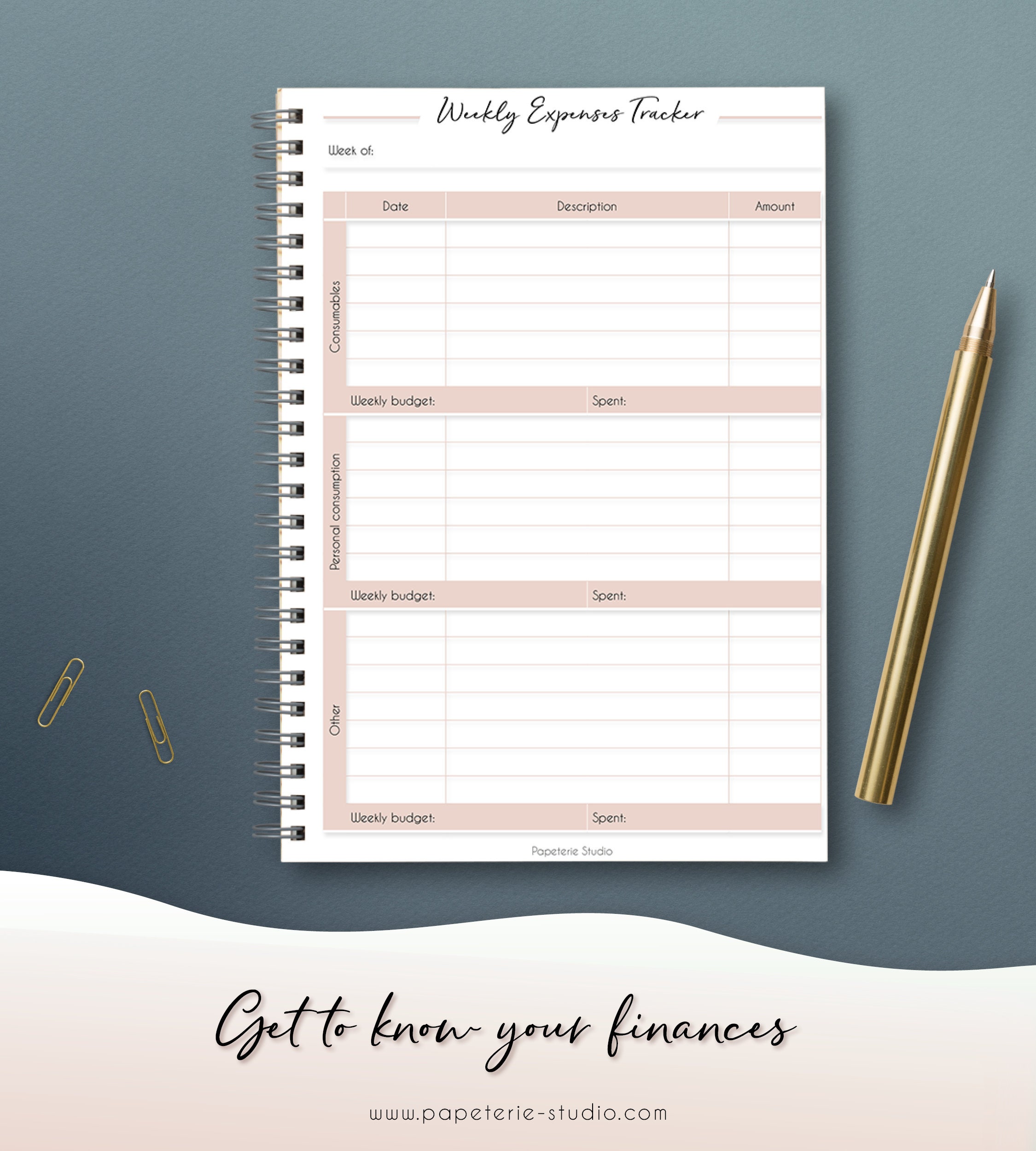 WEEKLY EXPENSES TRACKER Printable | Weekly Spending Log | Insert for ...