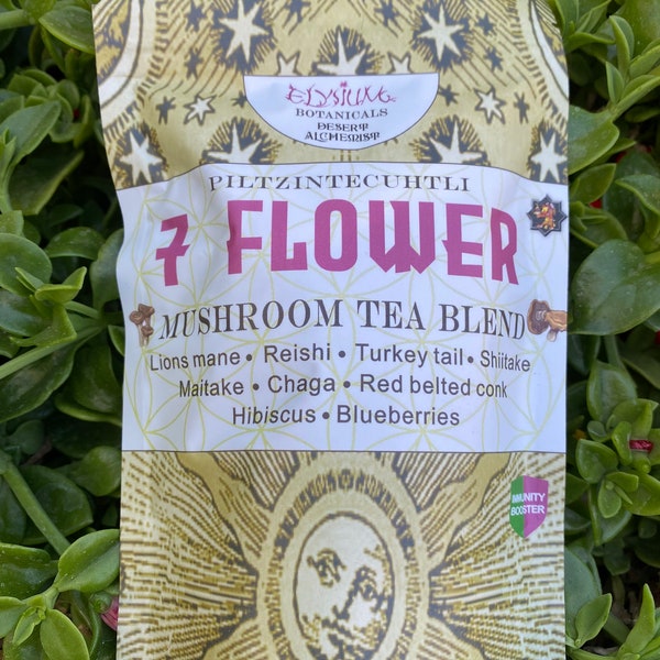 Mushroom Tea - Etsy