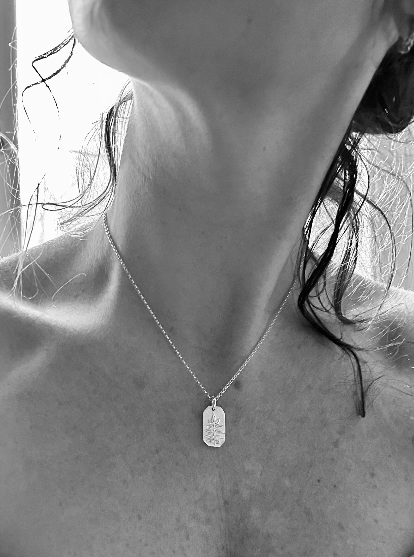 VINE, Tree Tablet Necklace - Celtic Astrology, Celtic Tree Zodiac ...