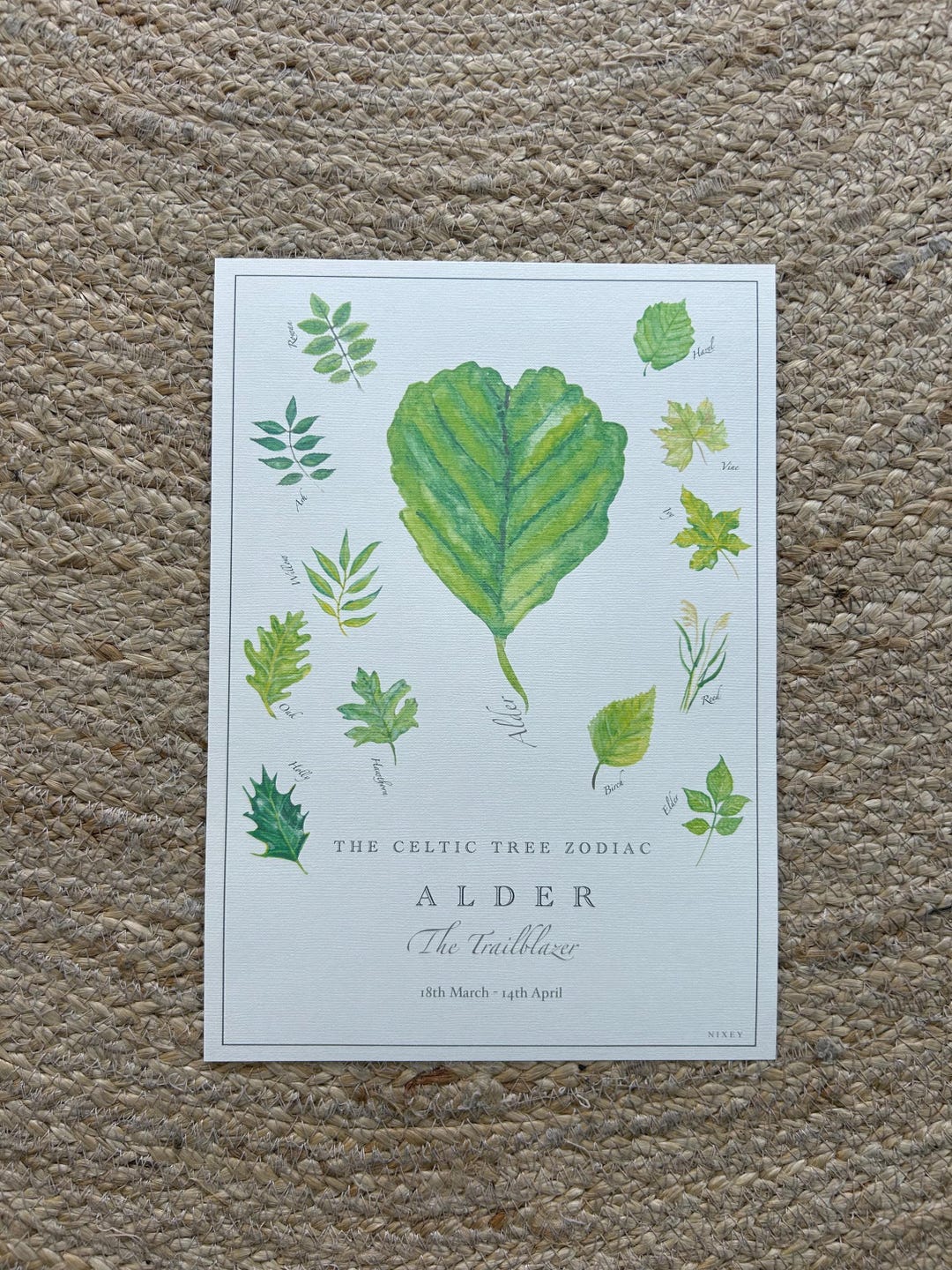 ALDER Tree Zodiac Print - Celtic Art, Zodiac Art, Birthday Print ...