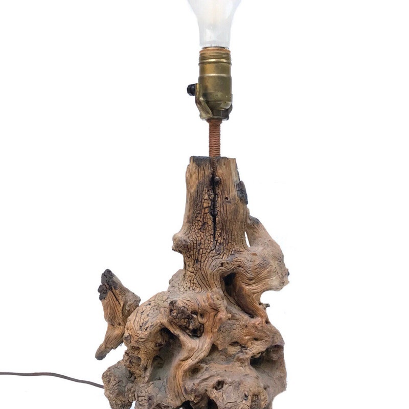 Burl Lamp - Etsy