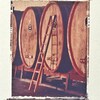 Grape & Vine Collection Grenache Close Up, Fine Art, Limited Edition ...