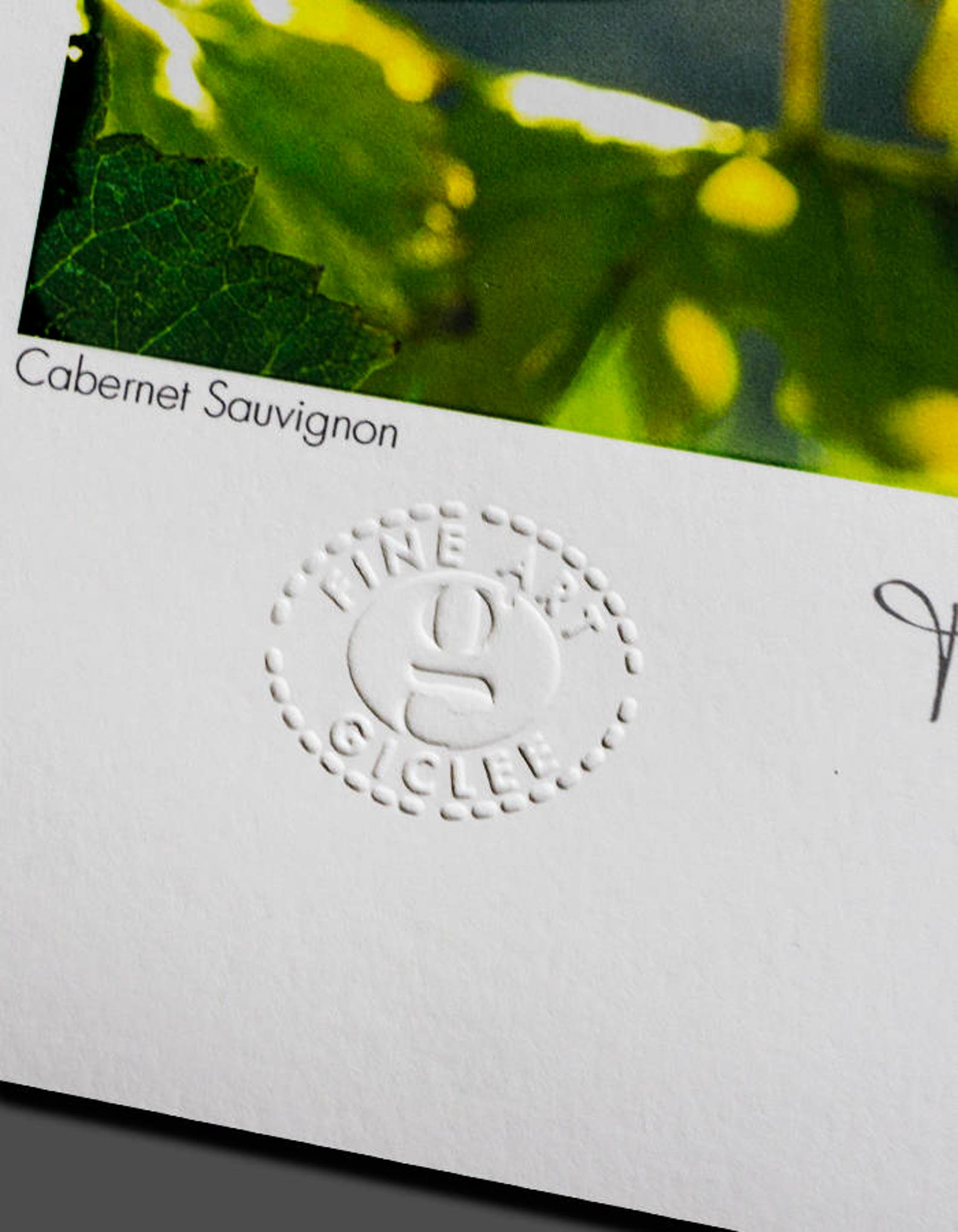 Grape & Vine Collection - Grenache Close Up, Fine Art, Limited Edition ...