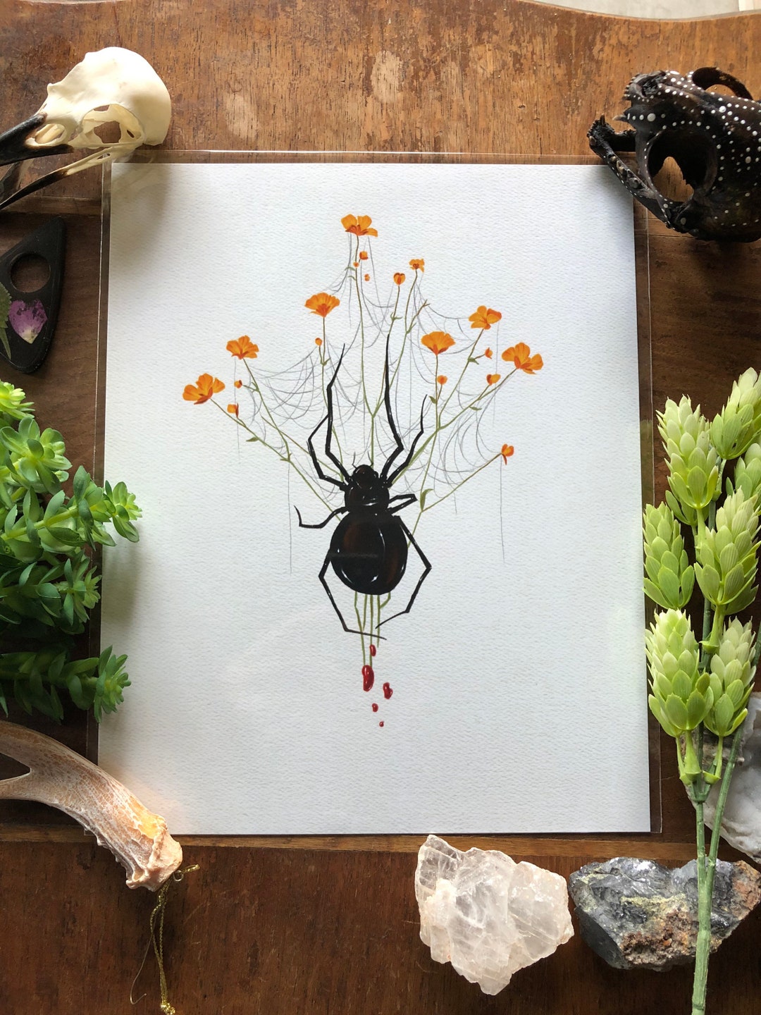 Spider / 8 X 10 Matte Art Print / Dark Art / Spider / Spooky / Creepy ...