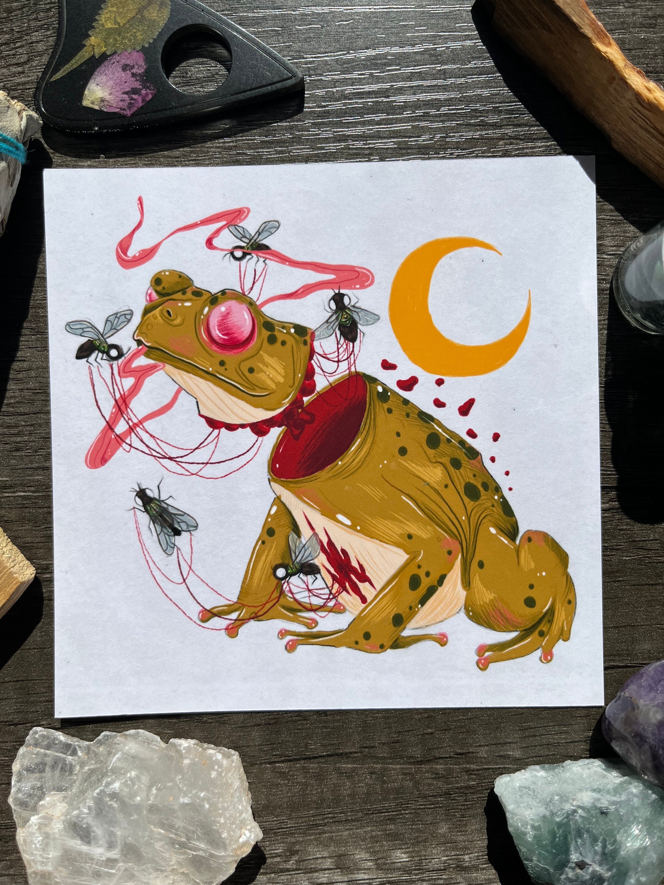 Bufo in Color / 5 X 5 Matte Art Print / Dark Art / Creepy / Toad ...