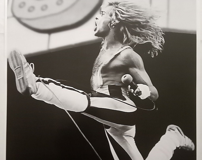 VAN HALEN Poster David Lee Roth on Stage 1980 Women and Children First ...