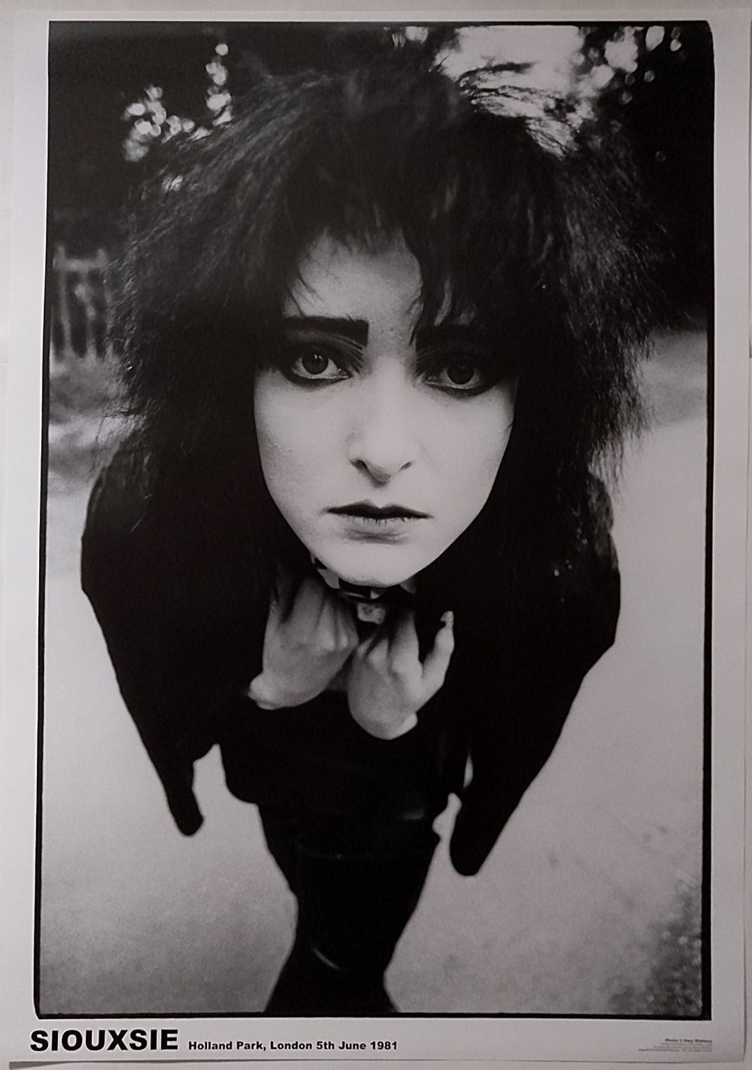 PUNK POSTER Siouxsie & the Banshees Siouxsie Sioux Holland Park London ...