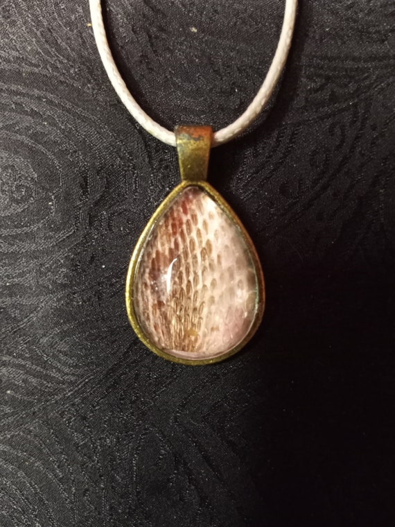 Snake Shed Necklaces - Etsy