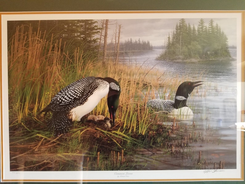 Fall Loons Waterfowl Large Limited Signed Lithograph of - Etsy