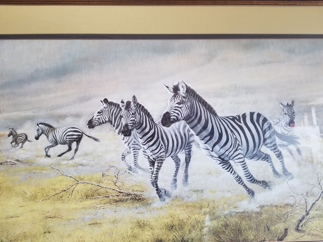 Zebra Print, Charles Frace Signed Print, 1970s "zebras Equus Burchelli ...