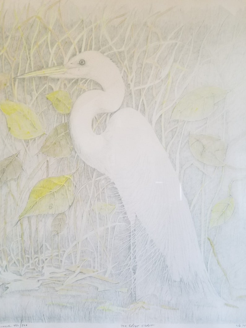 Don Russell Nature Print the Great Egret - Etsy UK