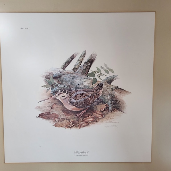 Don Whitlatch Print - Etsy