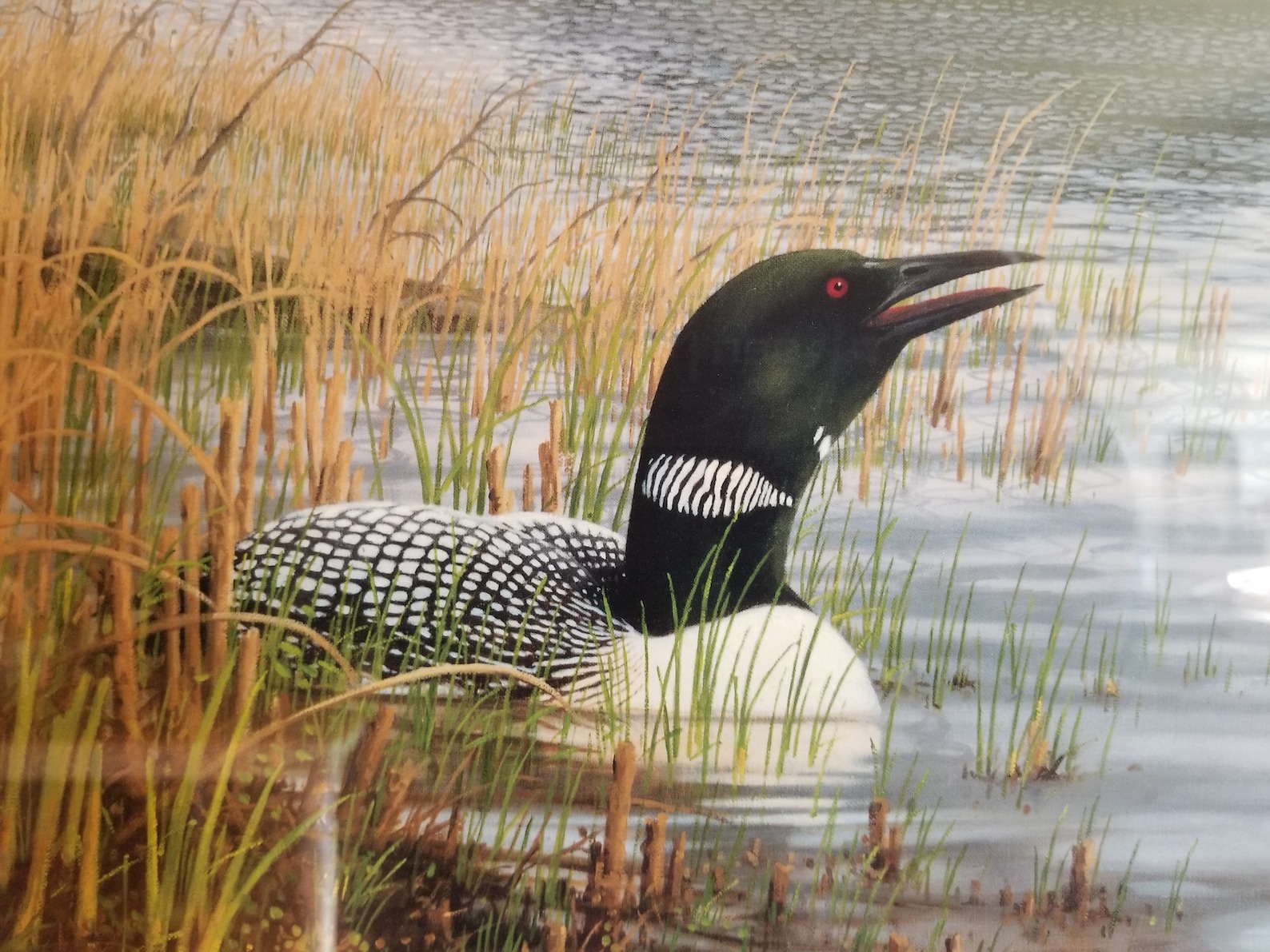 Fall Loons Waterfowl Large Limited Signed Lithograph of - Etsy UK