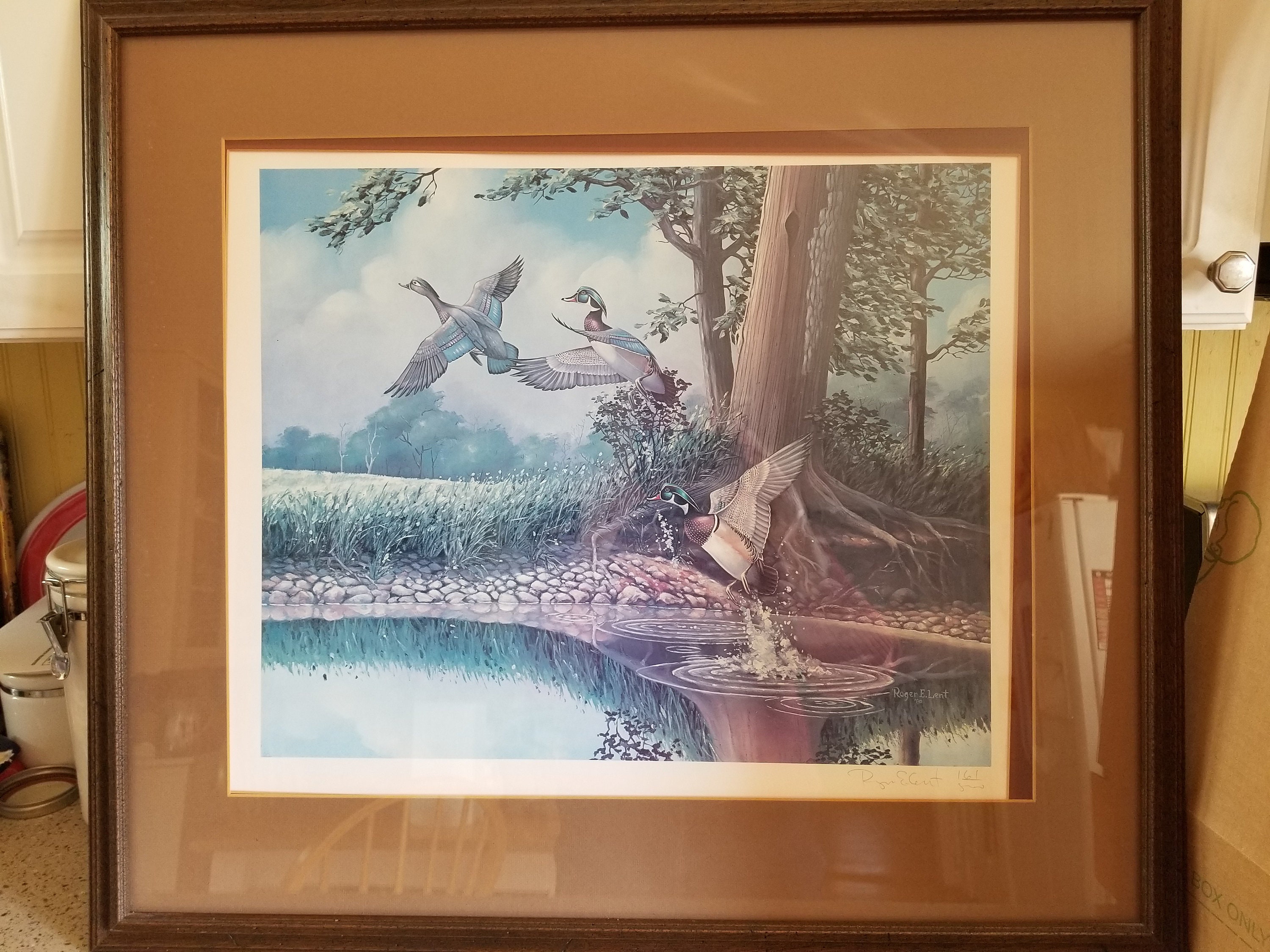 Roger Lent Duck Stamp Artist, Wood Duck Print, Titled Green Spring ...