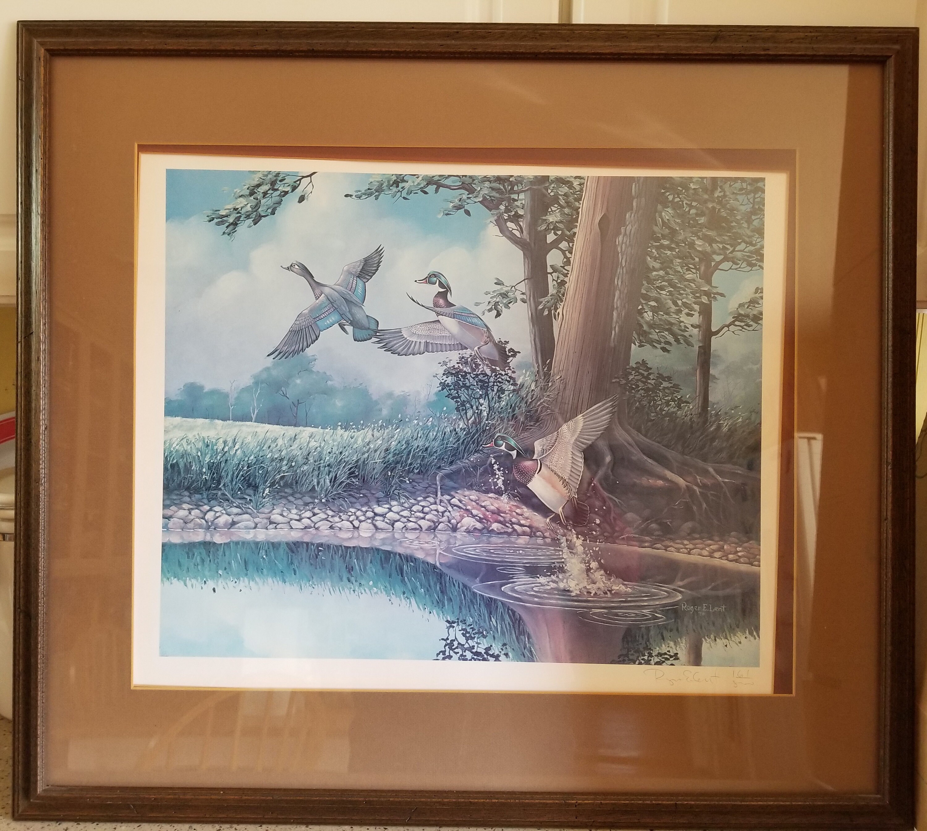 Roger Lent Duck Stamp Artist, Wood Duck Print, Titled Green Spring ...