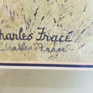 Zebra Print, Charles Frace Signed Print, 1970s "zebras Equus Burchelli ...