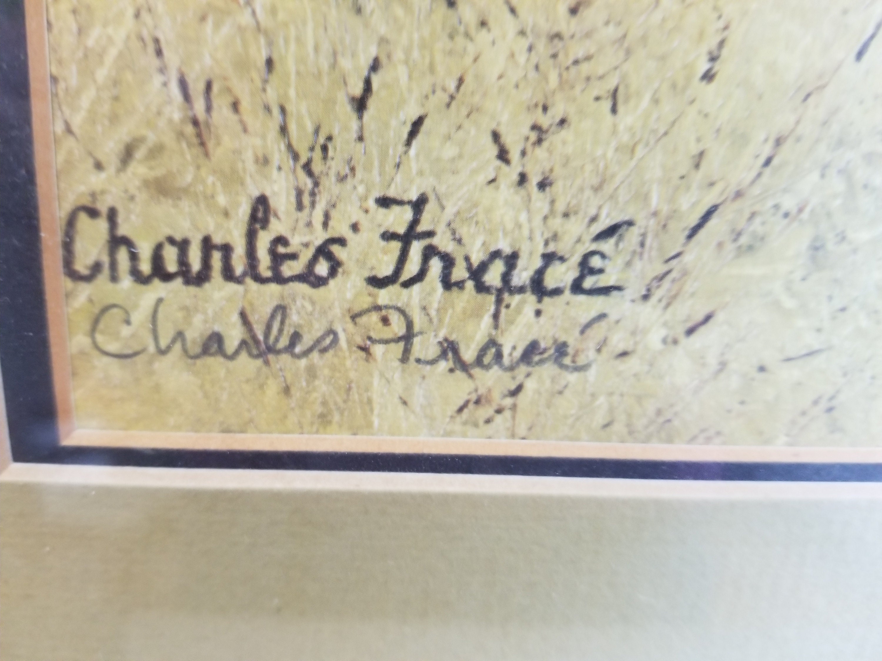 Zebra Print, Charles Frace Signed Print, 1970s "zebras Equus Burchelli ...