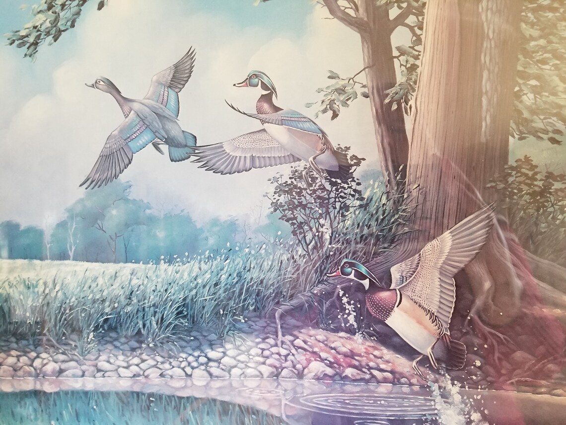 Roger Lent Duck Stamp Artist Wood Duck Print Titled Green - Etsy