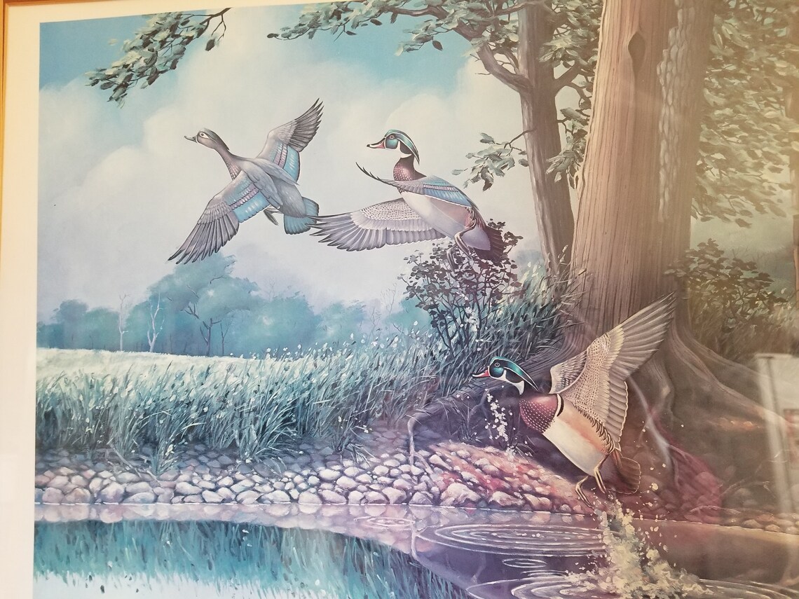 Roger Lent Duck Stamp Artist Wood Duck Print Titled Green - Etsy