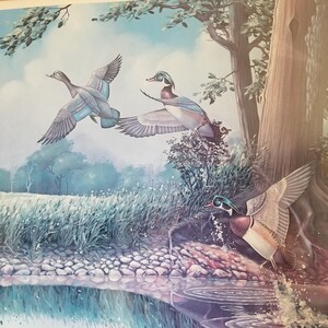 Roger Lent Duck Stamp Artist, Wood Duck Print, Titled Green Spring ...