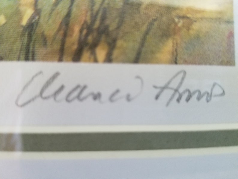 Bermuda Island Lithograph Tropical Signed Diana Amos - Etsy