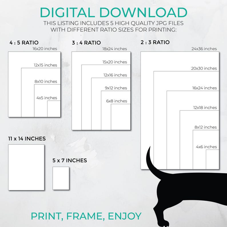 Dog Grooming Drawing. Print Ready Artwork for Groomer's Salon.dog Salon ...
