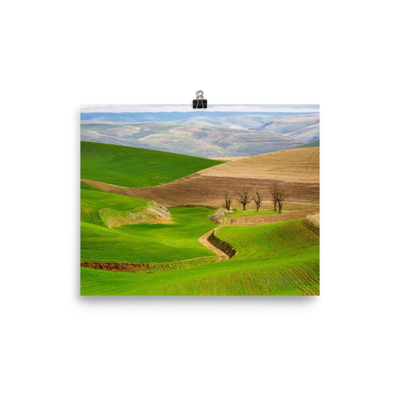 Washington State's Palouse Region Open Field Scenic Poster Pastoral ...