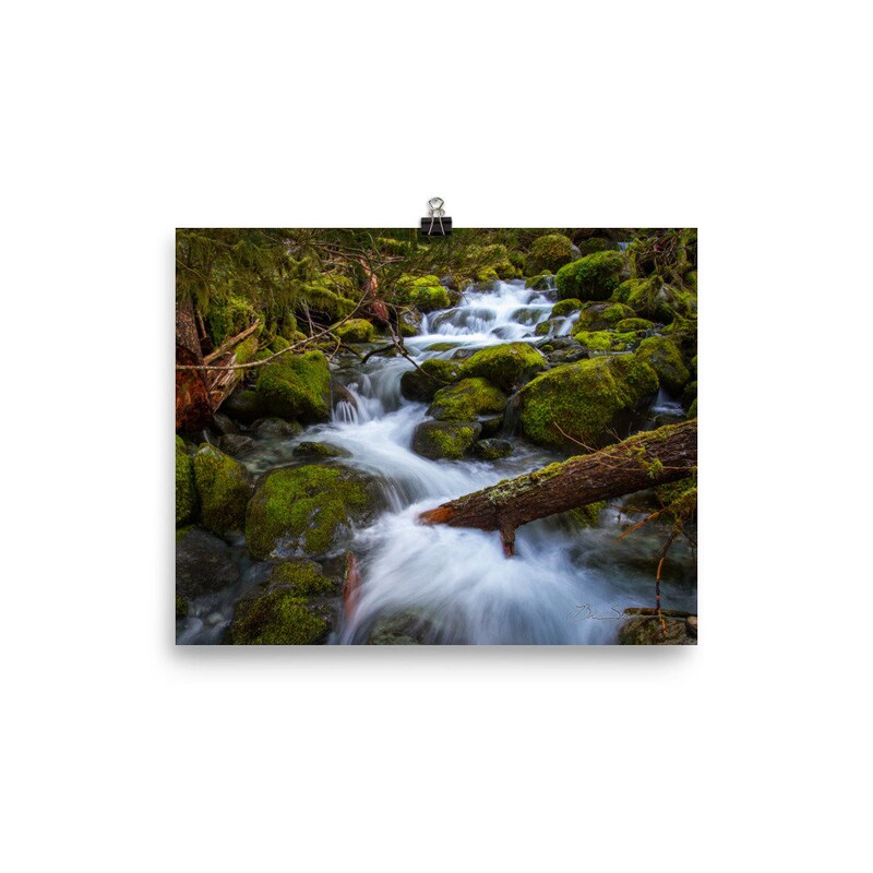 LotsaSmilesPhoto - Etsy