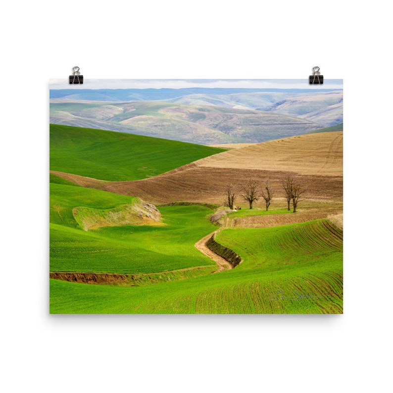 Washington State's Palouse Region Open Field Scenic Poster | Pastoral ...