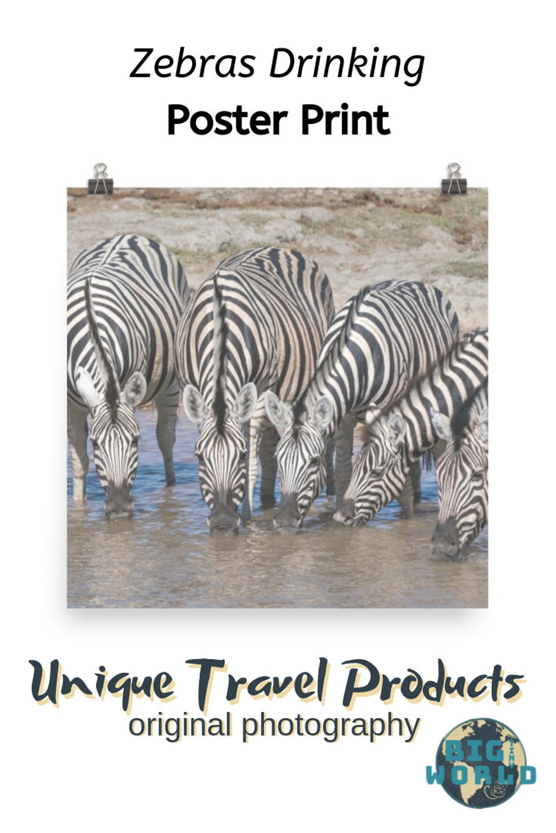 Wild African Zebra Herd Drinking Photo Paper Poster Etosha - Etsy