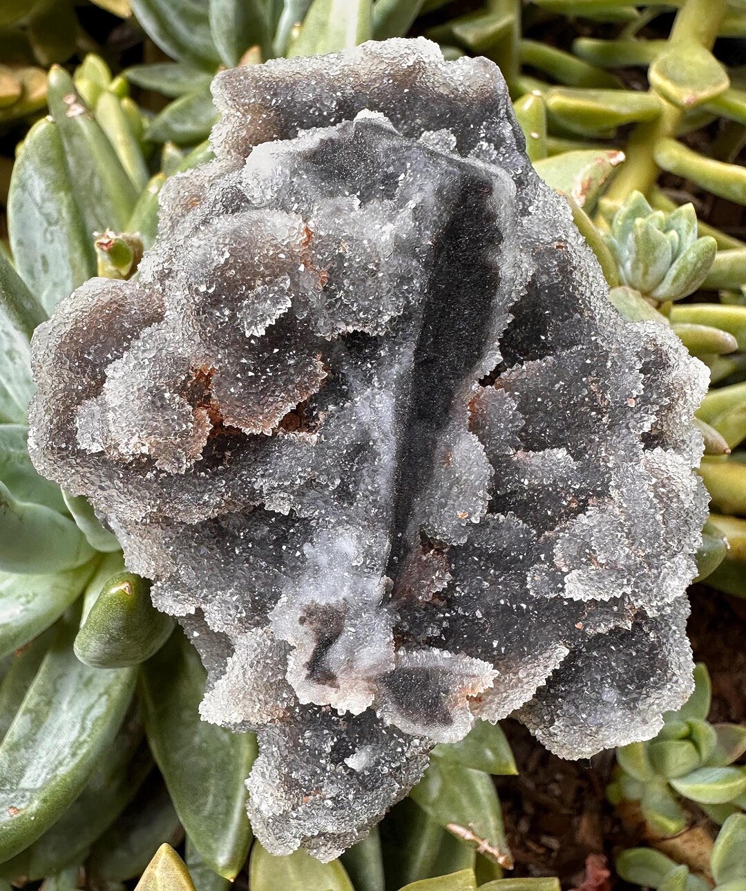 Exceptional Chalcedony Cluster From Turkey - Etsy