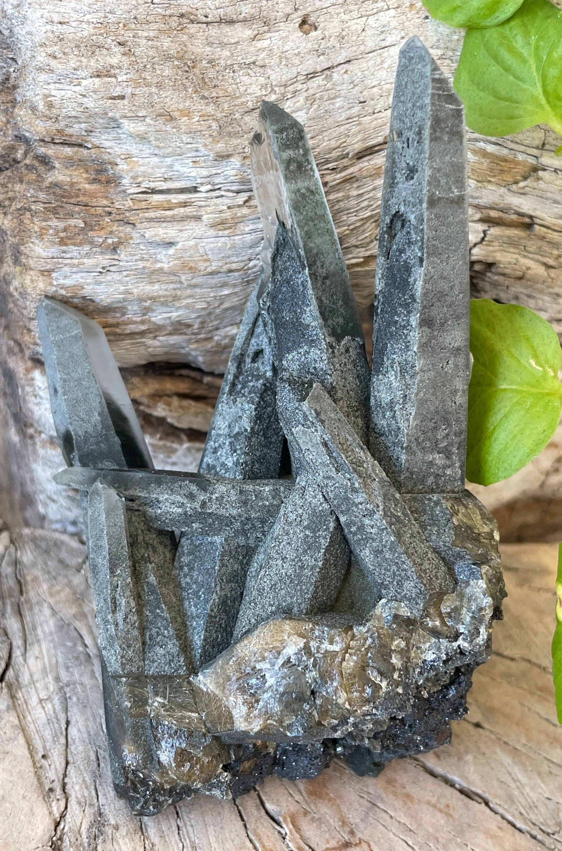 Tibetan Black Phantom Quartz Point Cluster From Himilayan - Etsy