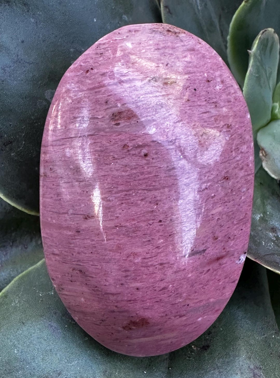 Pink Petrified Fossilized Wood Palm Stone - Etsy
