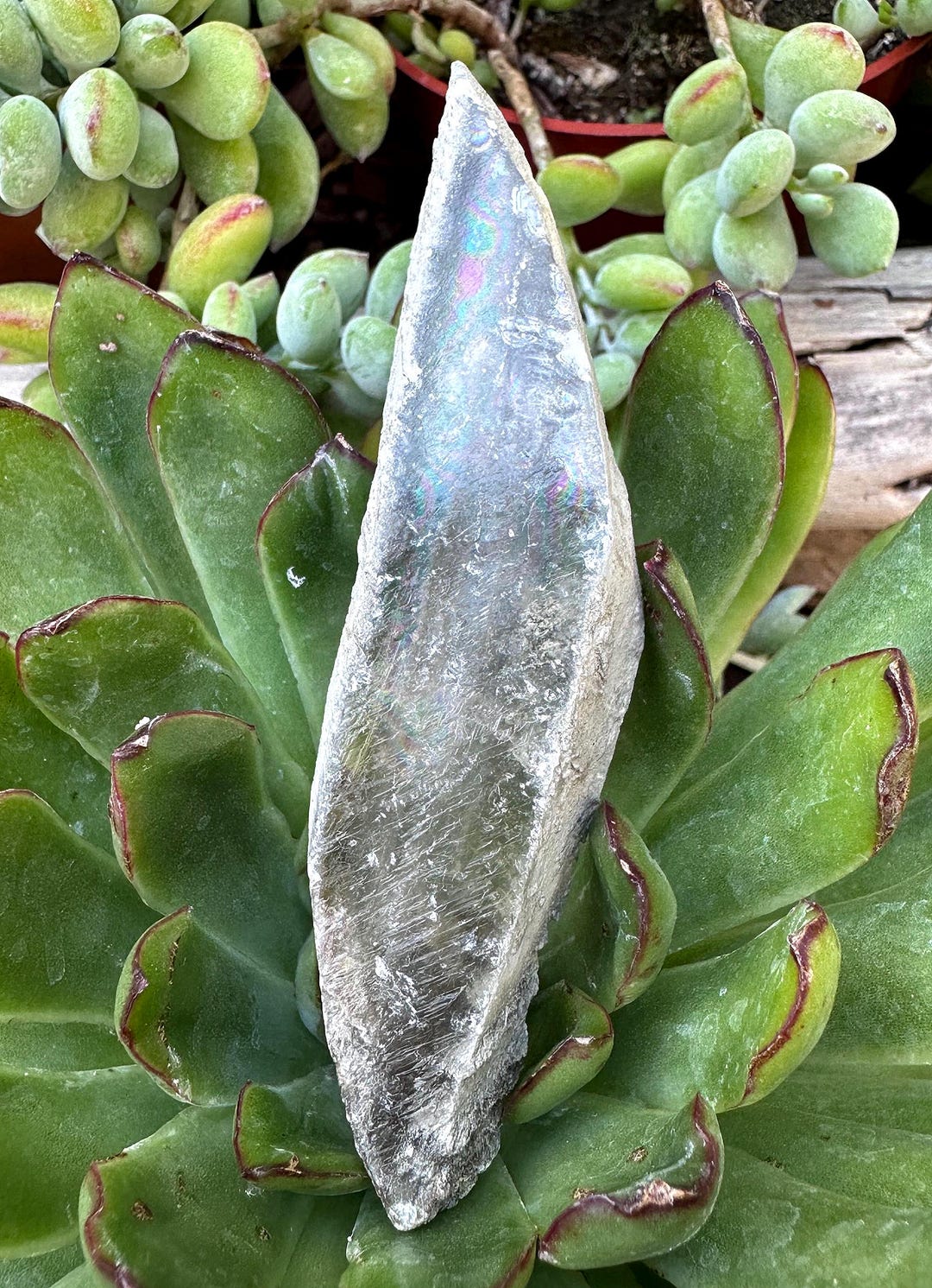 UV Reactive Selenite Crystal From Nepal: Rainbow Inclusions - Etsy