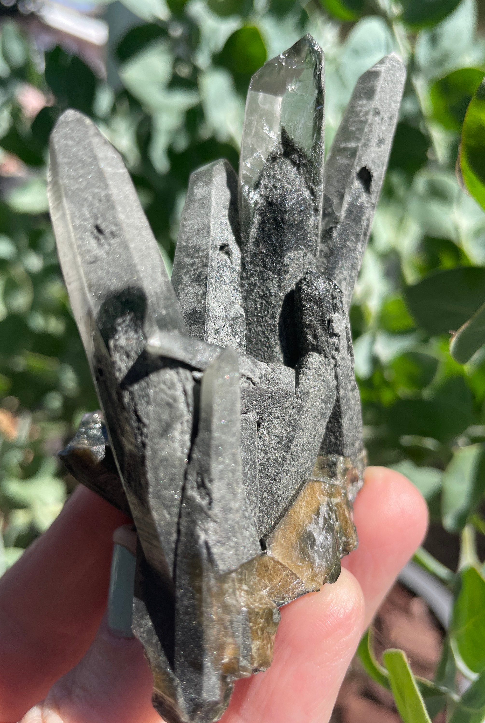 Tibetan Black Phantom Quartz Point Cluster From Himilayan - Etsy