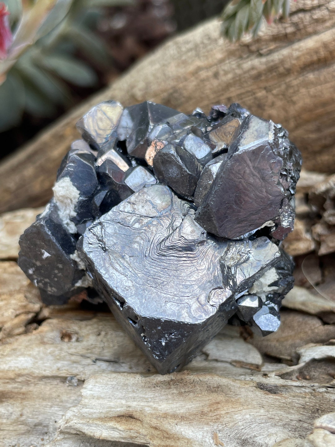 Beautiful Etched Galena From Bulgaria - Etsy