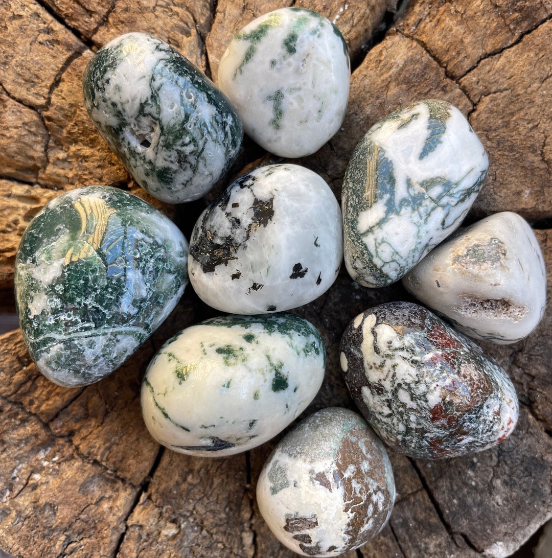 Large Tree Agate Tumbled Stone - Etsy