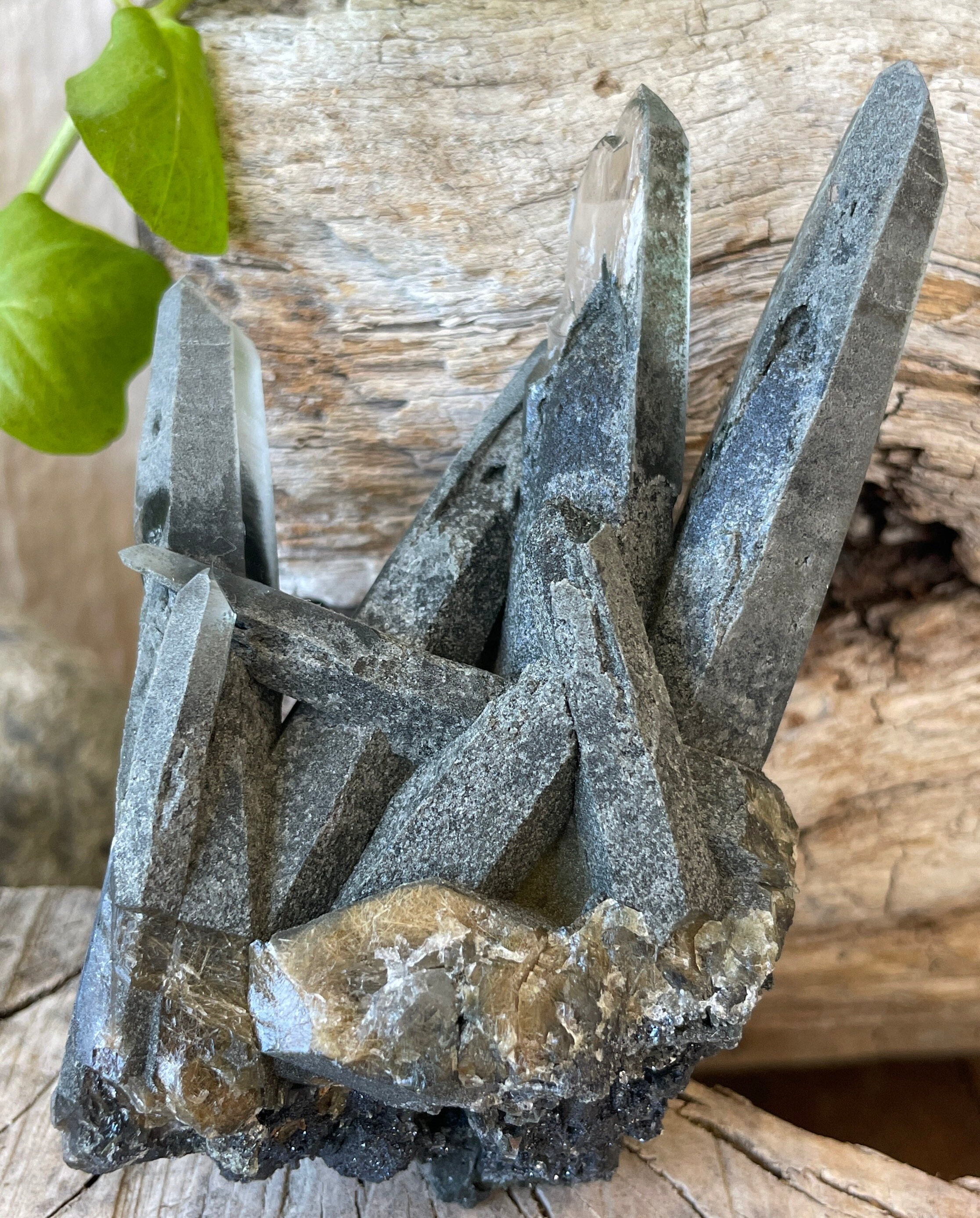 Tibetan Black Phantom Quartz Point Cluster From Himilayan - Etsy