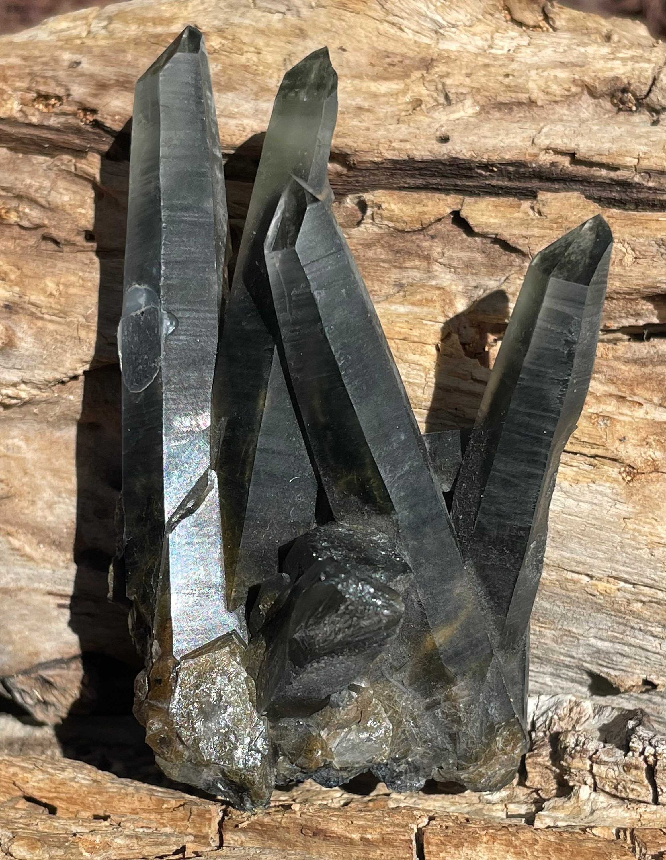 Tibetan Black Phantom Quartz Point Cluster From Himilayan - Etsy
