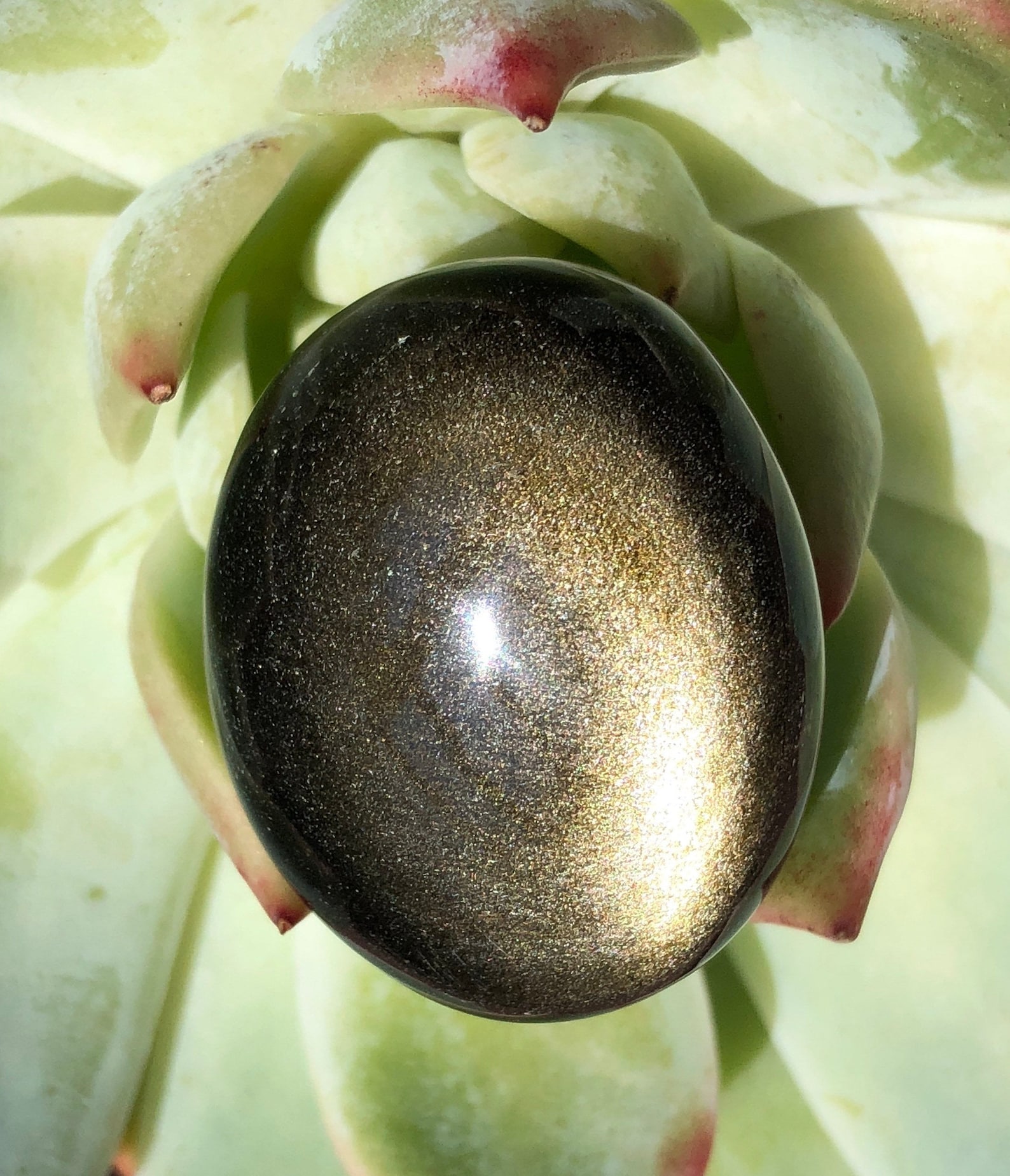 Gold Sheen Obsidian Pebble: "wizard Stone" From Mexico - Etsy