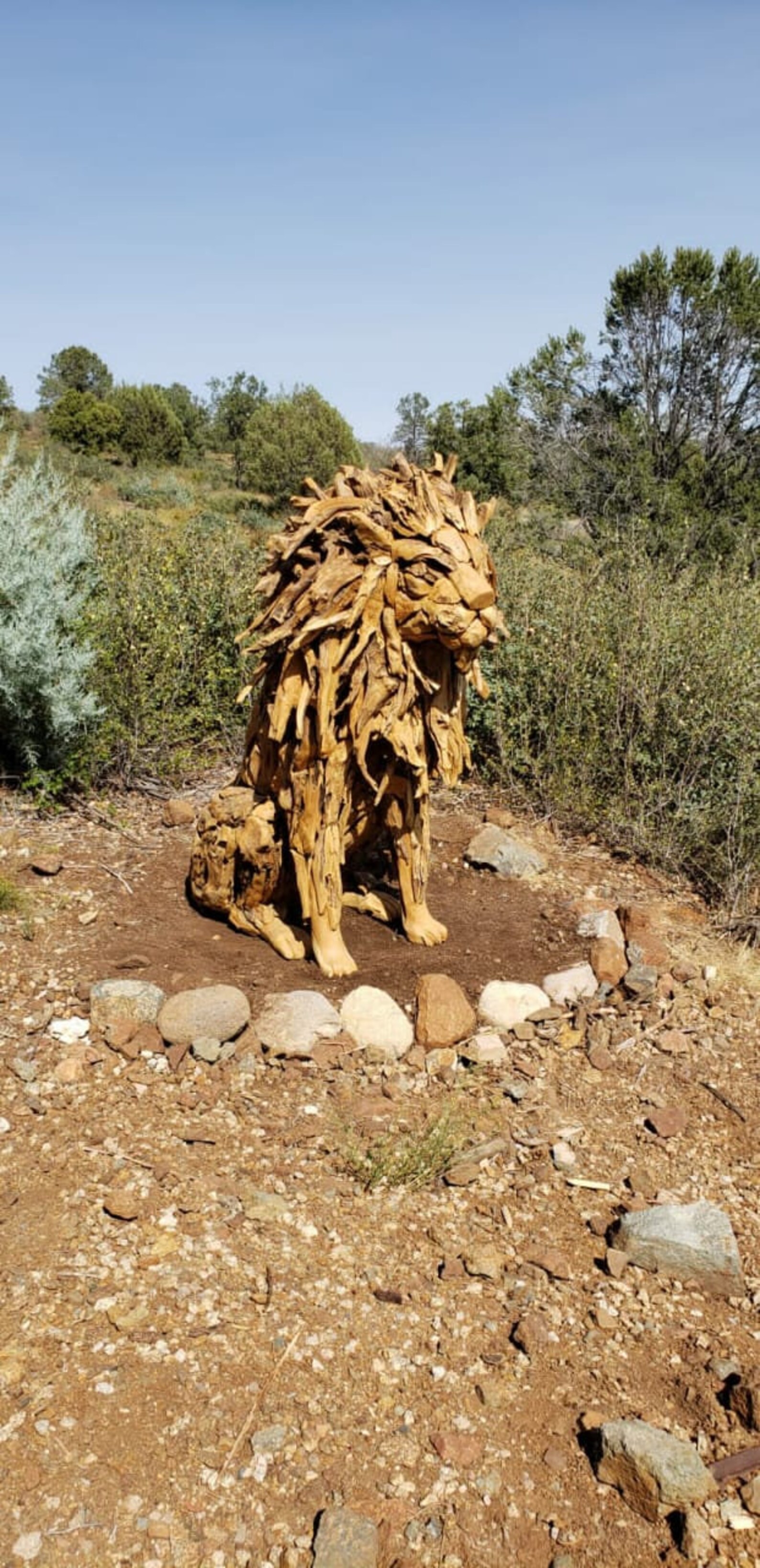 Handcrafted Teak Root Lion Sculpture Unique Garden Decor Artisan ...