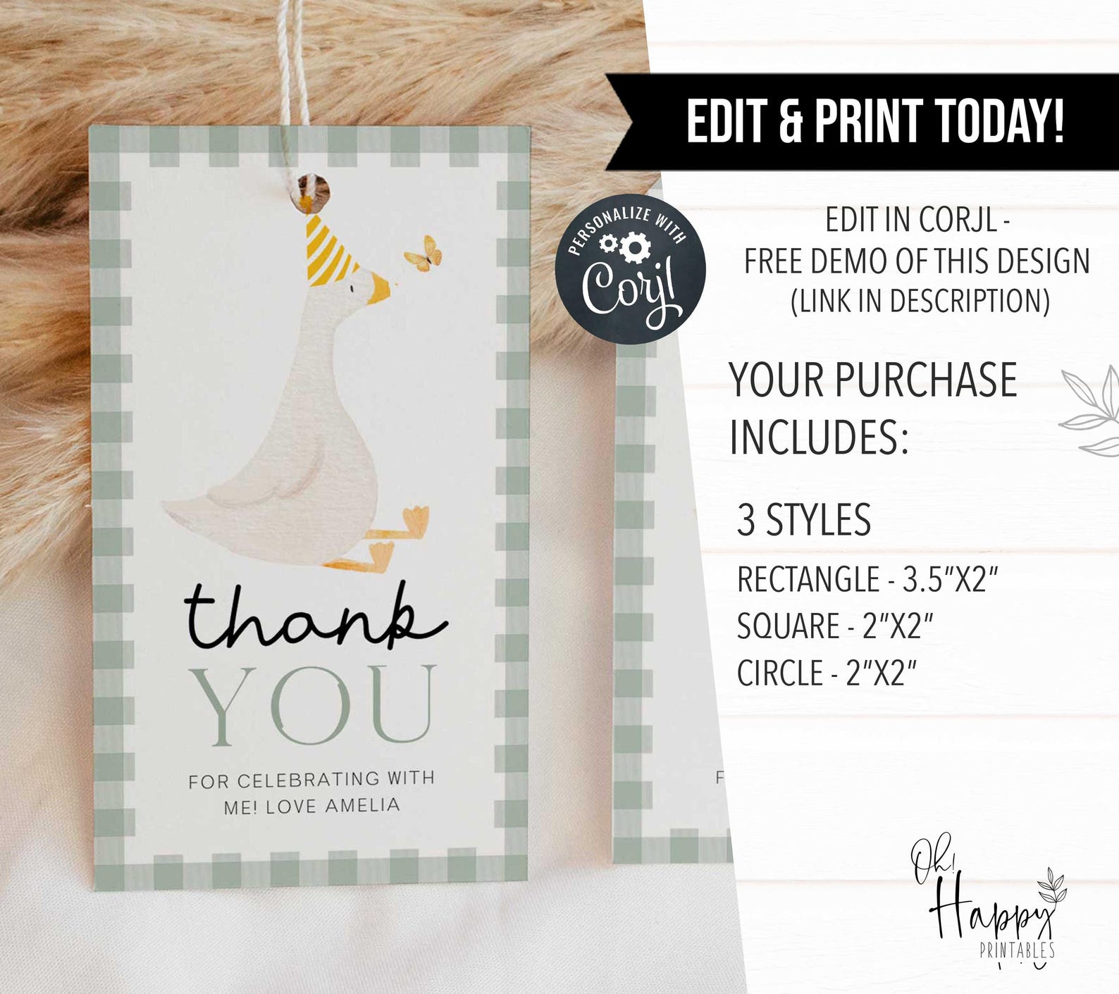 One Silly Goose Birthday Favor Tags Template, Silly Goose Gift Tag ...
