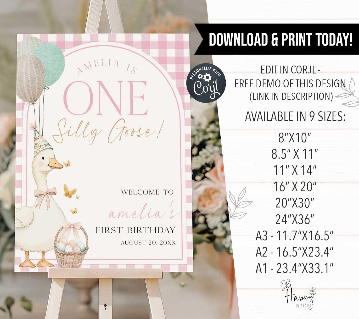 Pink One Silly Goose 1st Birthday Welcome Sign, Editable Silly Goose ...