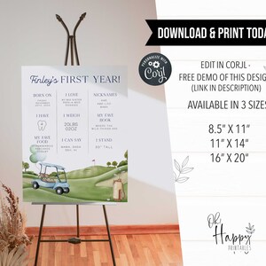 Hole in One 1st Birthday Milestone Poster, My First Year Golf Birthday ...