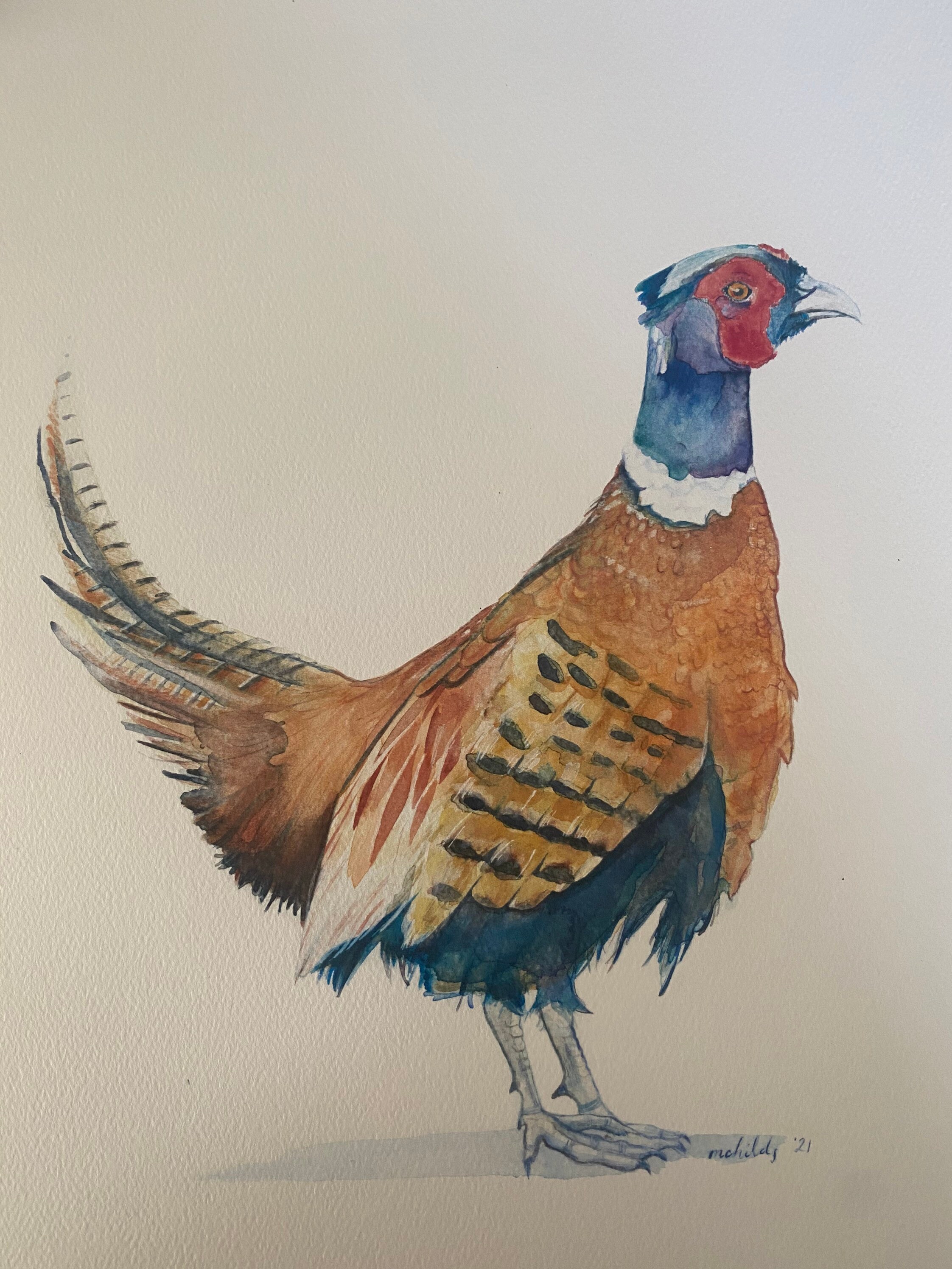 Watercolor Watercolour Pheasant Print Art & Collectibles etna.com.pe