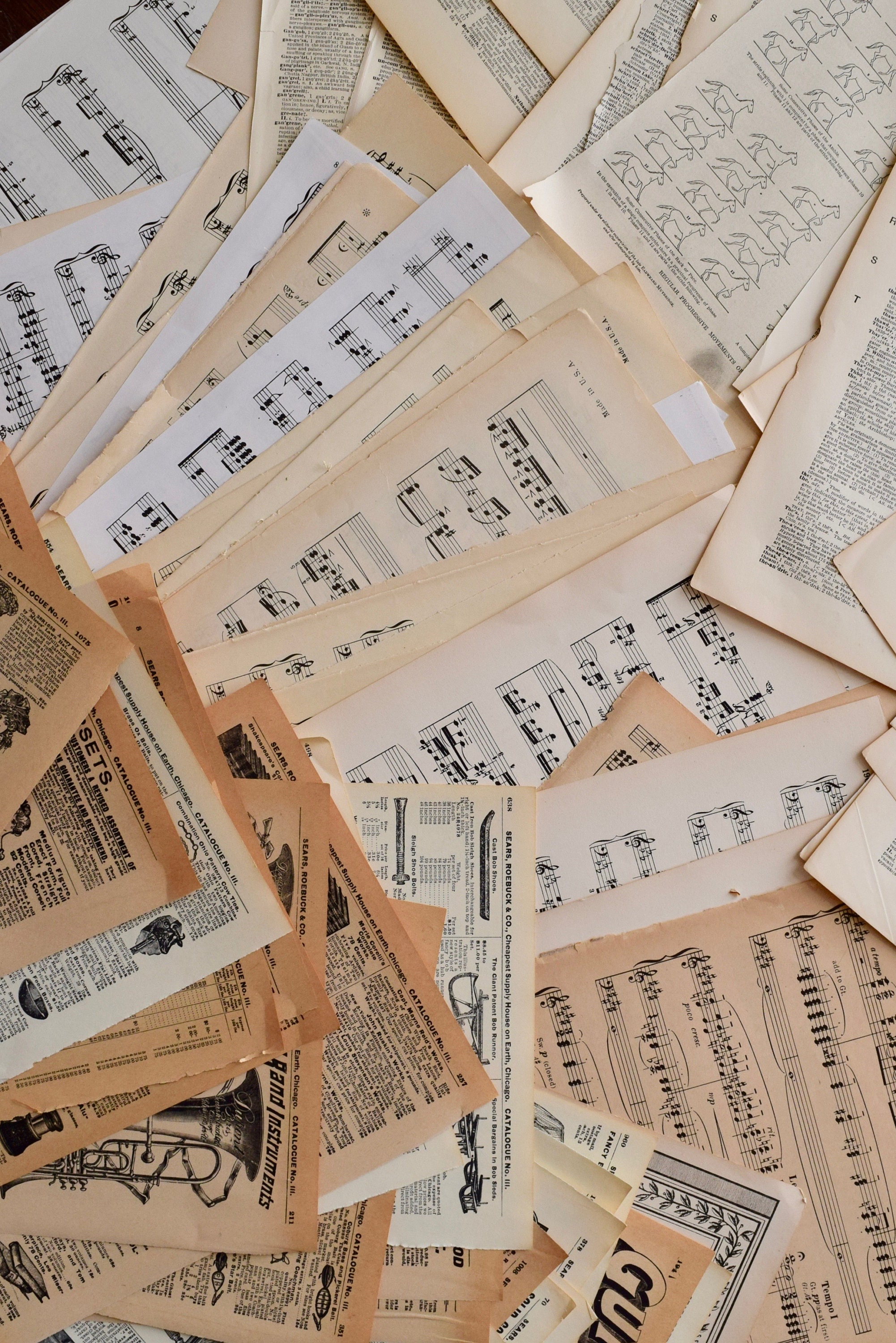 90 Pages Vintage Ephemera 9x11 Paper Sears Ads Sheet Music Dictionary ...