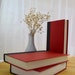 Black and Red Books Old Books Bookshelves Books by Color - Etsy